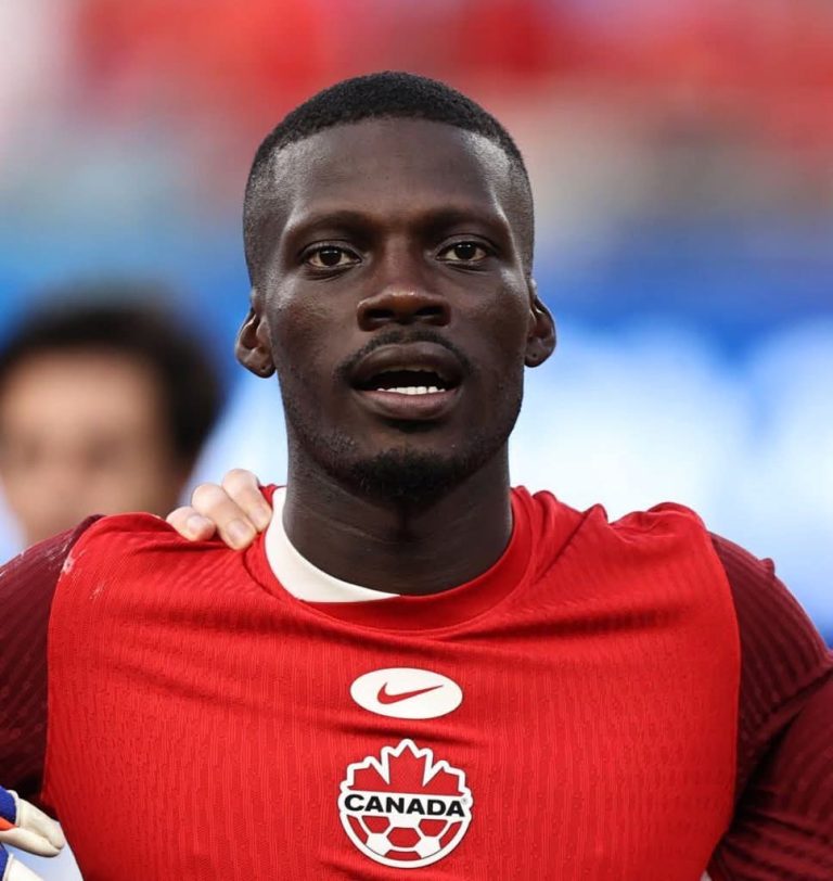 Super Eagles Missing, But Nigerians Still Shine at FIFA World Cup as ...